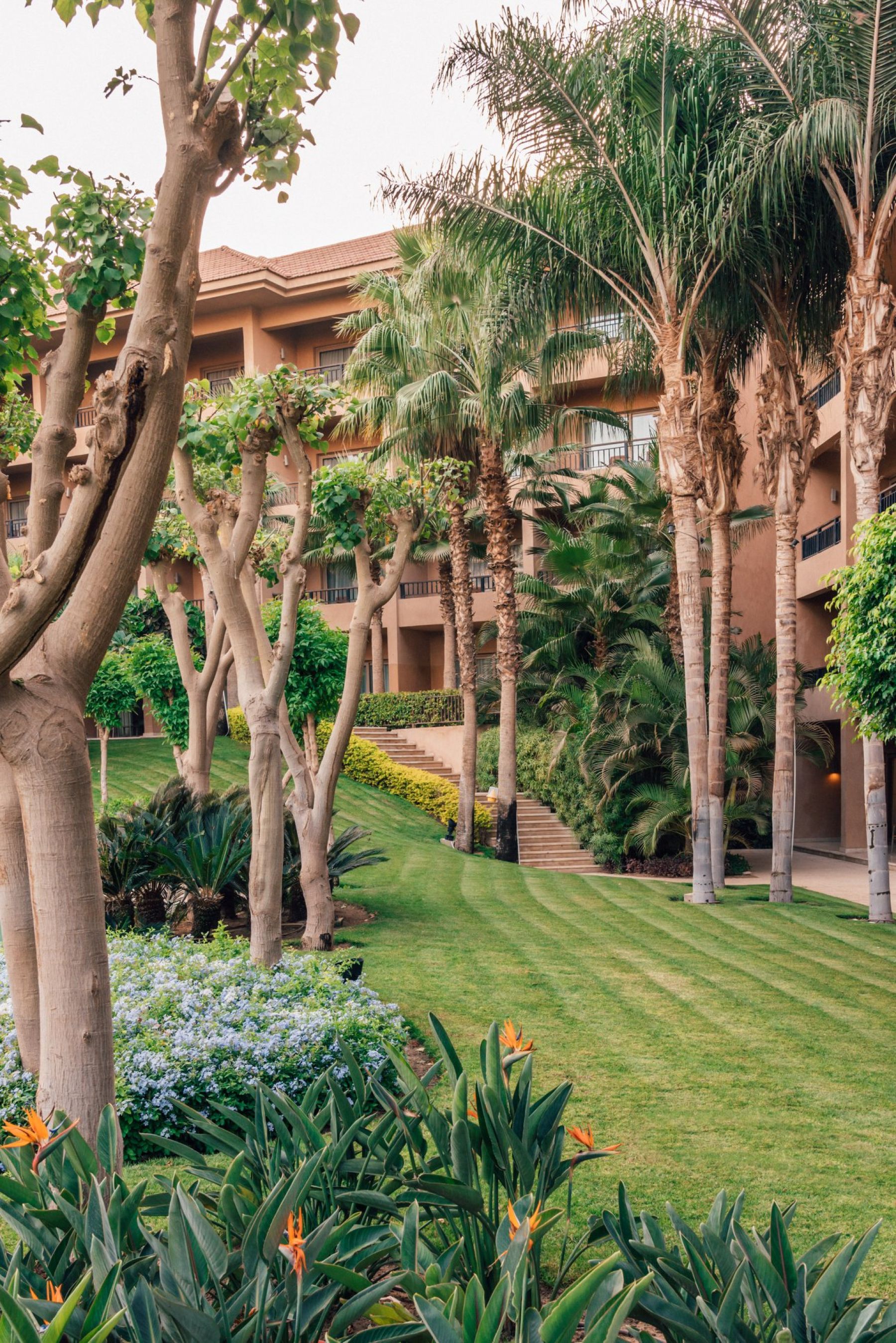 Dusit Thani LakeView Cairo Wedding Venue in Cairo ️ Portfolio
